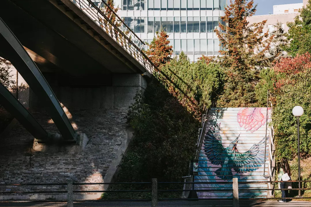 Prepare for Your Psychotherapy Consultation